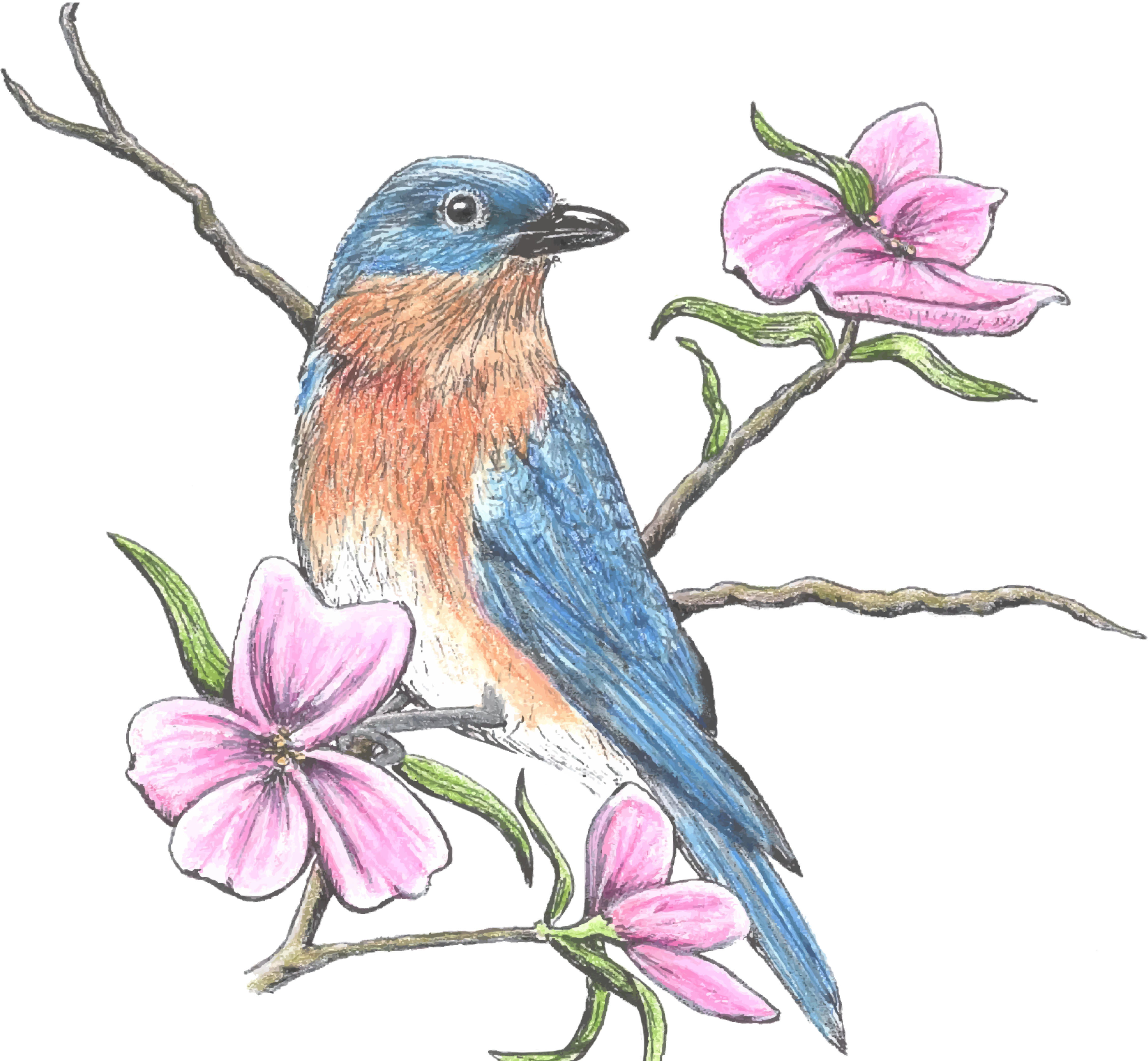 Home [developmentserver.ravenspacepublishing.org]